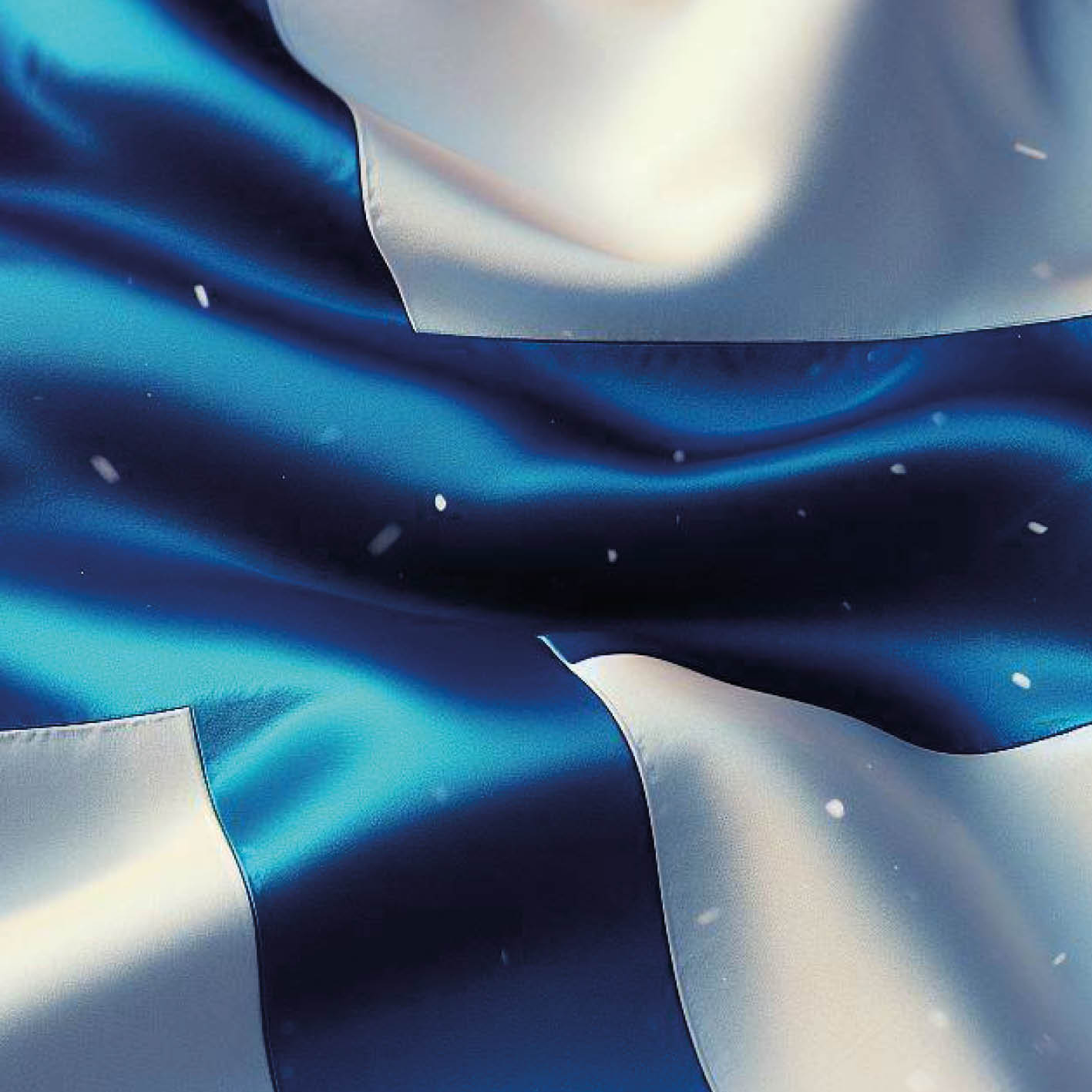 🇫🇮 Mitä Suomen lippu voi opettaa liiketoiminnasta? - Compile